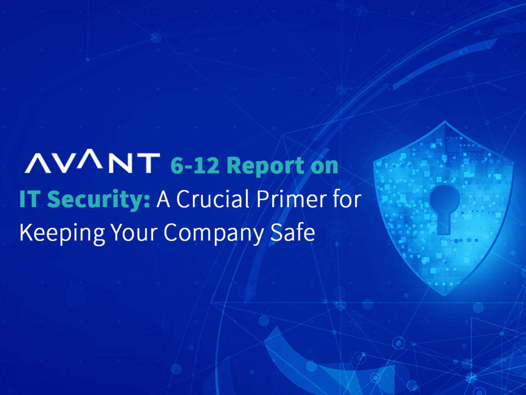 AVANT 6-12 Report on IT Security: A Crucial Primer for Keeping Your ...